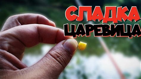 РЕЧЕН РИБОЛОВ на ПЛУВКА в НАЙ ГОЛЕМИТЕ ЖЕГИ Youtube