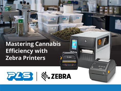 Mastering Cannabis Efficiency With Zebra Printers