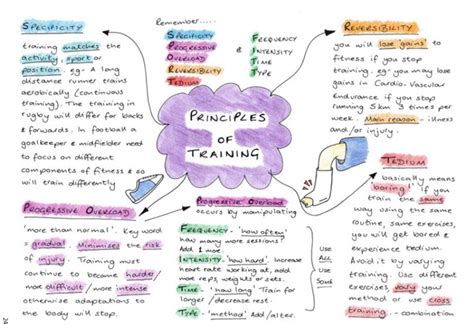 Aqa Gcse Pe Gcse Simplified