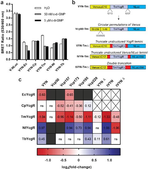 Figure 2 From Development Of Ratiometric Bioluminescent Sensors For In Vivo Detection Of