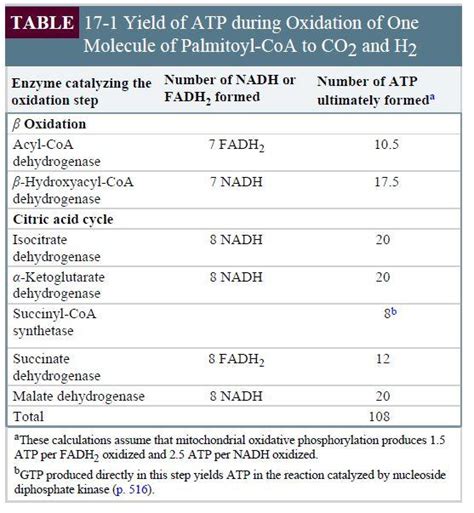 Solved Calculate The Total ATP Yield From The Complete Chegg Com