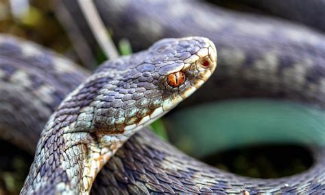 Making Squid Log Timestamps Human Readable Interconnecting Worlds