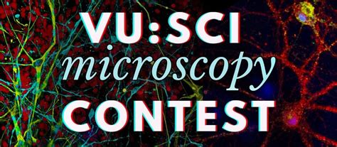 Vusci Microscopy Contest Vusci Magazine