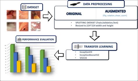 Architecture Of Multi Class Artefact Detection System Download Scientific Diagram
