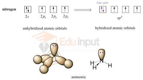 Sp3 Hybridization Definition Explanation Examples And Significance