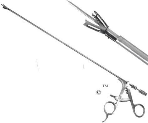 Forceps Jars Buy Forceps Jars Online At Best Prices In India