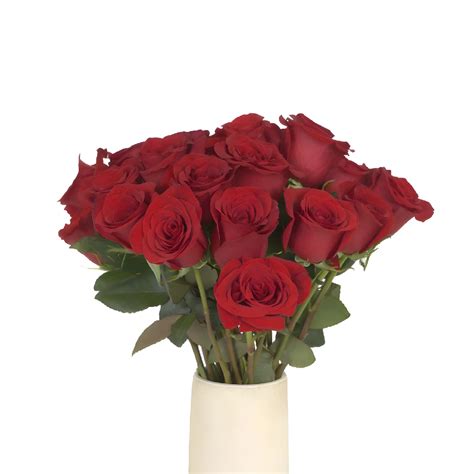 Freedom Red Rose Express Delivery Red Rose Bouquet