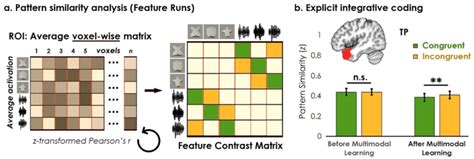 A Contrast Matrix For Feature Runs Shown On The Left Panel And B Download Scientific