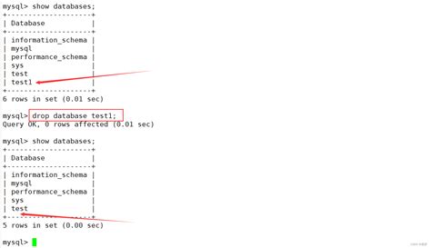 Mysql 数据库管理 Csdn博客