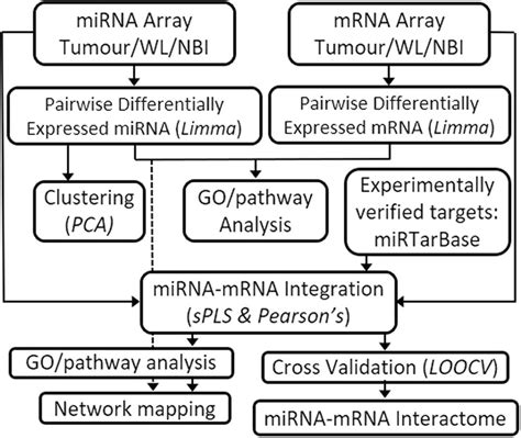 Bioinformatics Pipeline Download Scientific Diagram