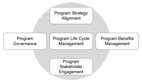 Program Management Performance Domains