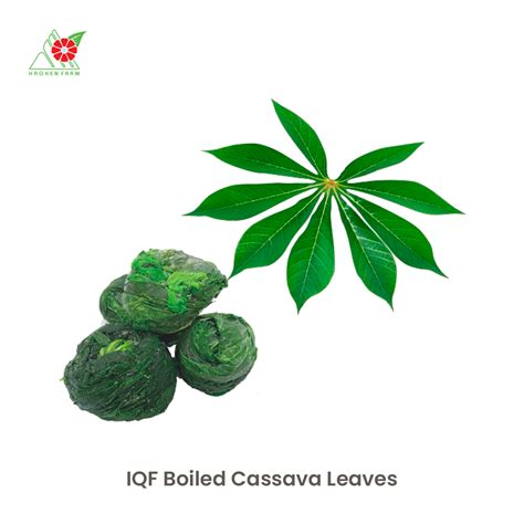 Iqf Boiled Cassava Leaves Inaexport