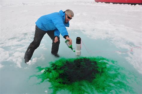 How Statistical Physics Illuminates Sea Ice A Critical Piece Of Earths Climate System Theu