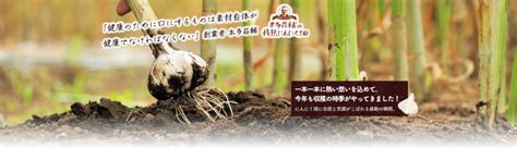 健康家族公式オンラインショップの最新口コミやレビュー｜サブスクの比較ならサブヒカ