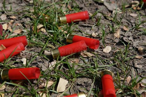 Shotgun Bullets Shell Stock Image Image Of Crime Plastic 95325289