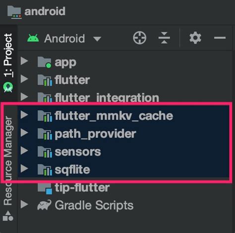 Flutter 应用集成浅析 皮皮小黑屋