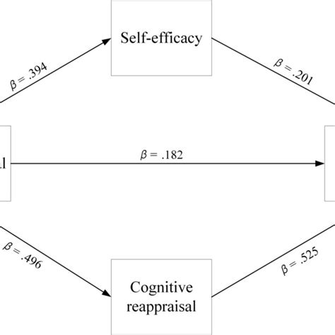 The Mediating Effects Of Self‐efficacy And Cognitive Reappraisal Download Scientific Diagram