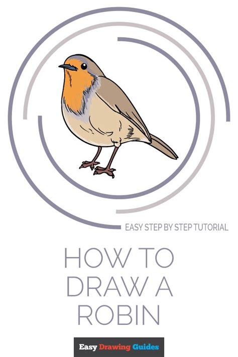 How To Draw A Robin Really Easy Drawing Tutorial Drawing Tutorial Easy Drawing Tutorial