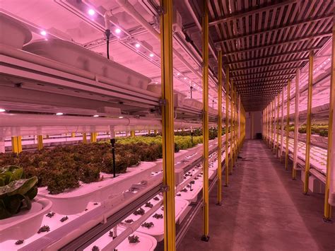 植物工厂 温室水培资料库 DFT水培系统 NFT生菜植物工厂 潮汐水培 叶菜机械化