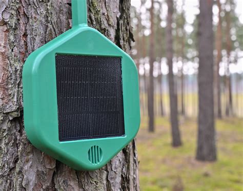 Could Sensors Help Catch Wildfires Before They Burn Out Of Control
