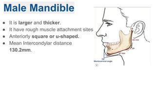 Sex Determination From Mandible Pelvis And Skull PDF
