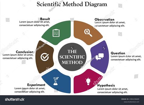 Scientific Method Diagram Observation Question Hypothesis Stock Vector