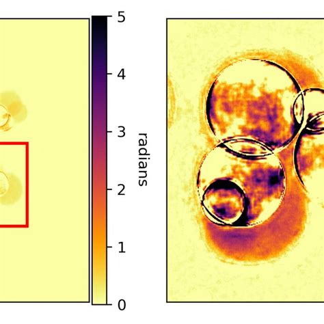 sample input intensity images under various system conditions top download scientific diagram