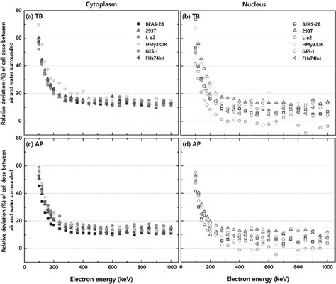 Multiple Mesh Type Real Human Cell Models For Dosimetric Application Coupled With Monte Carlo