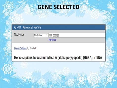 Matlab Bioinformatics Presentation Pptx Programming Languages Computing