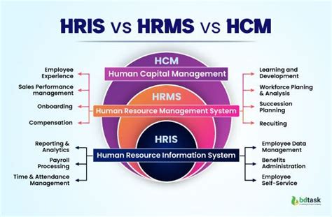 HRIS Vs HRMS Vs HCM Understanding The Differences