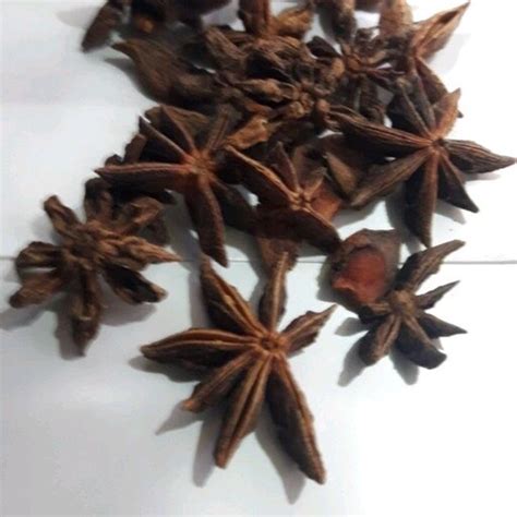 خرید و قیمت بادیان ستاره ای یا بادیان رومی نیم کیلویی عطاری دستانی ترب