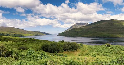 Quiz Can You Score 15 15 In This Tricky General Knowledge Quiz Joe Is The Voice Of Irish