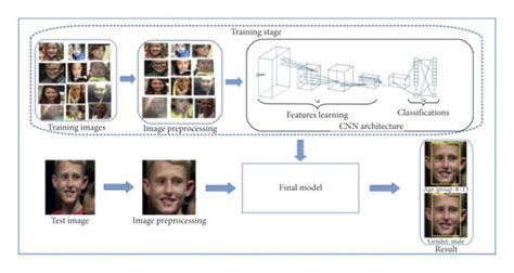 The Pipeline Of Our Framework For Age Group And Gender Download Scientific Diagram