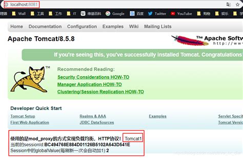 Tomcat实现集群的session会话共享（内存共享方式）tomcat之间共享内存 Csdn博客