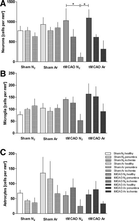 Cell Numbers Of Neurons Astrocytes And Microglia In Healthy Cortex Download Scientific