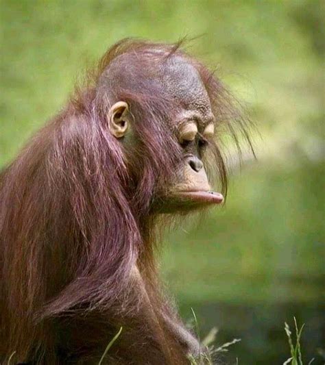 АминСувд 😒Нэг мэдэхд ажил 🙂‍↕️Нэг мэдэхд гэртээ 🤓нэг хархад орой 😮‍💨толгой хальт тавиад л