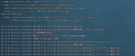 搭建 Linux Nginx Node Vue3 Mysql 个人博客 服务器篇（二）sakurafrp Vue Csdn博客