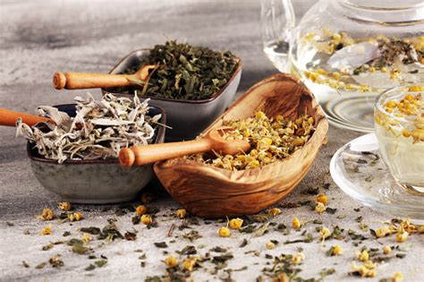 카모마일 세이지 쏘는 쐐기풀 차를 곁들인 차 테이블에 말린 카모마일 차 허브에 대한 스톡 사진 및 기타 이미지 허브 0명