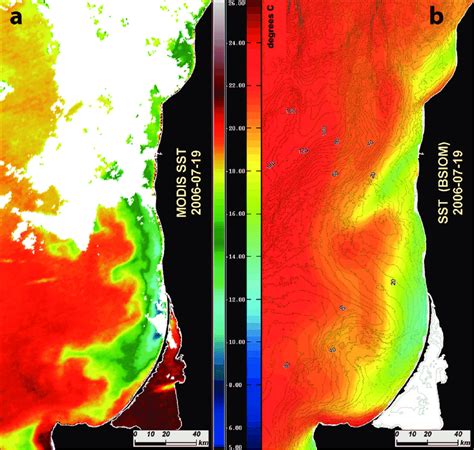 Sea Surface Temperature Fields • C Derived From Modis Data A And Download Scientific