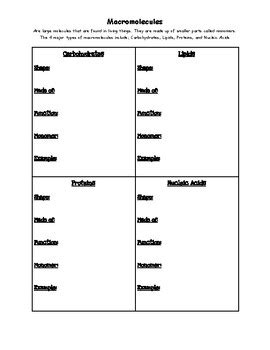 Macromolecules Chart By Miranda Pazienza TPT