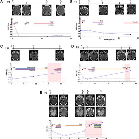 Detection Of Tert Promoter Mutation In Plasma Of Blinded Download Scientific Diagram