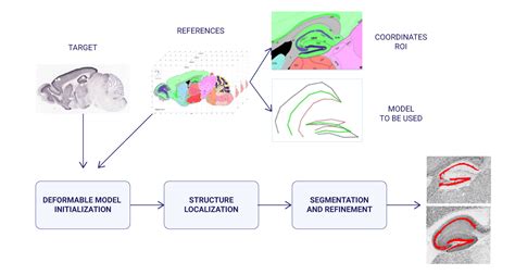 Automatic Segmentation And Localization Of The Hippocampus In