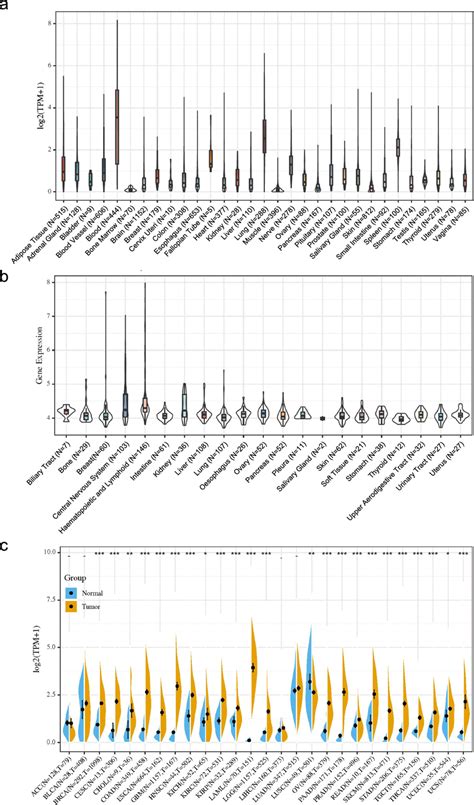 Osm Expression In Cancer Tissues And Normal Tissues A Violin Plots Of