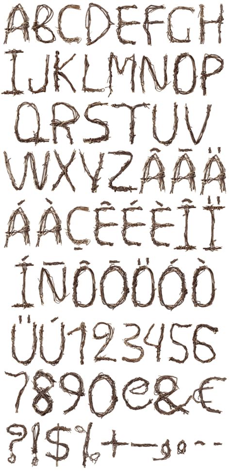 Buy Tree Branch Font Which Combines Nature And Artwork