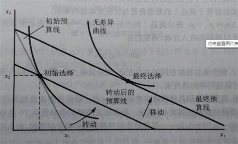 替代效应图册 360百科