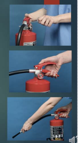 PNP Midterm Flashcards Quizlet