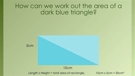 area of a triangle and its formulaes pptx