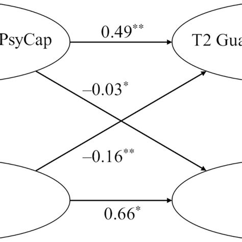 Standardized Regression Coefficients In A Cross Lagged Panel Model