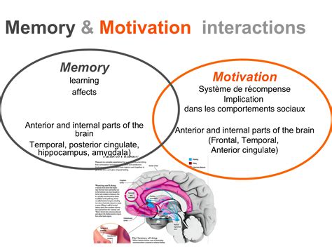 Memory Motivation Learn