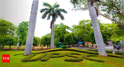 UPSC CSE Top Out Of Them Are From DU Check The Educational Backgrounds Of Toppers